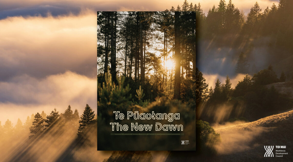 Te Pūaotanga – The New Dawn – CreaTer